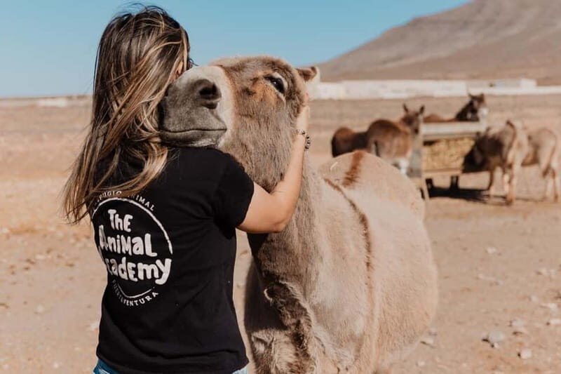 The Animal Academy - Shelter Tour - The Value of Your Visit