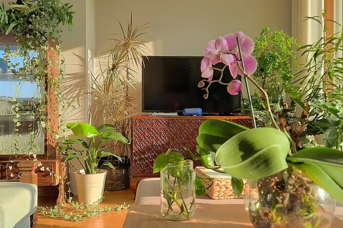 The Art of Eating and Making Friends - Overview of the Experience