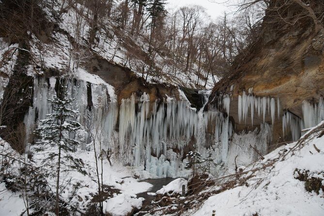 The Art of Ice - Nafuku Shichijo Otaki Snow Trekking Tour - Slightly difficult (Medium) - Practical Tips for Participants