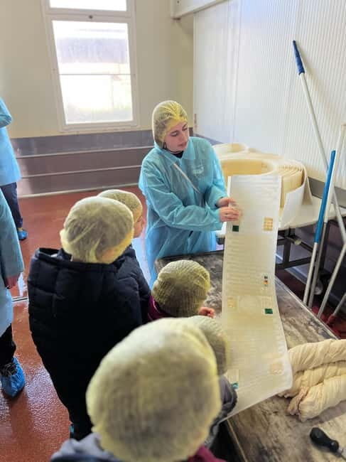 The Art of Parmigiano Reggiano & Aged Balsamic Vinegar - An In-Depth Look at What to Expect