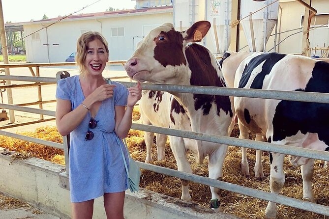 The art of Parmigiano Reggiano and real Balsamic vinegar - Authenticity and educational value