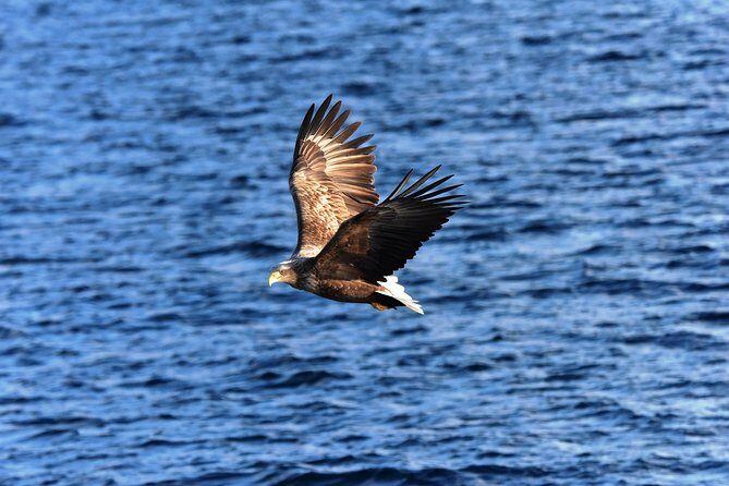 The Astonishing Islands of Tropical Langkawi - Final Thoughts