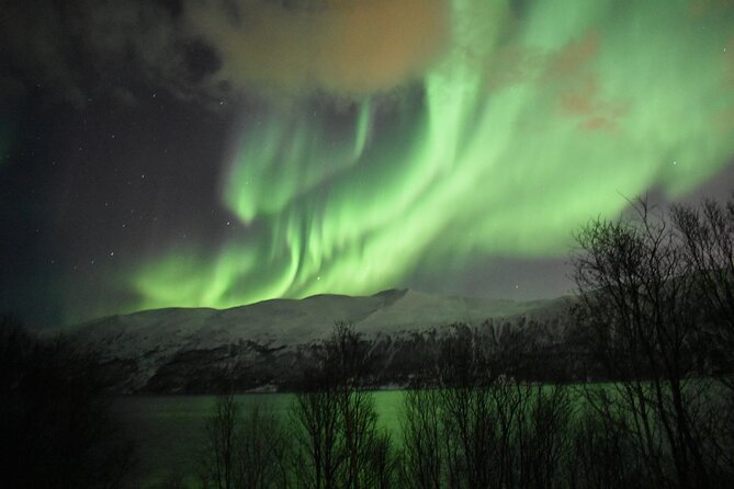 The Aurora Tour - small group, northern lights - FAQs