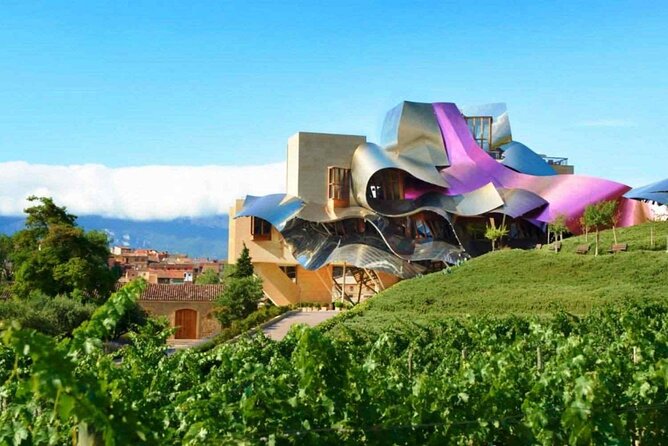 The Authentic Rioja Alavesa wine experiences - Key Points