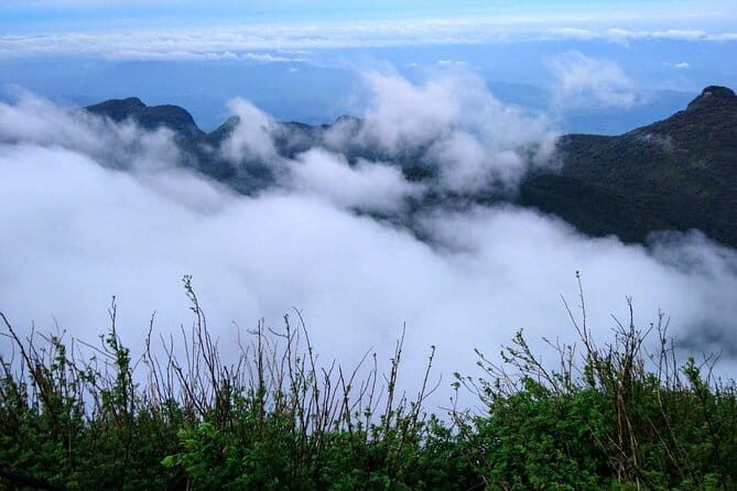 The backpackers trail to Elephant Spine  Knuckles - Key Points
