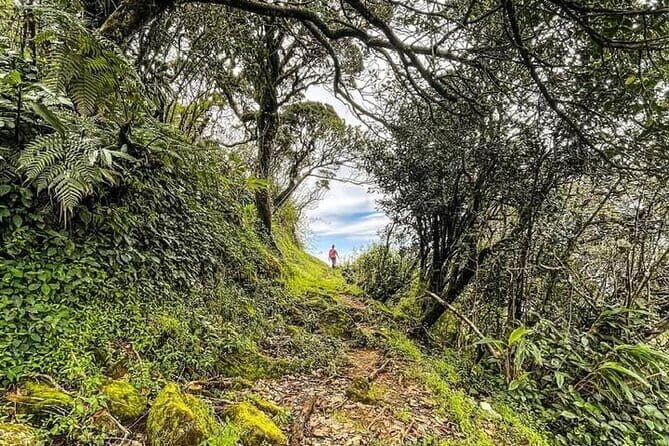 The backpackers trail to Elephant Spine  Knuckles - The Itinerary: What to Expect on the Trek