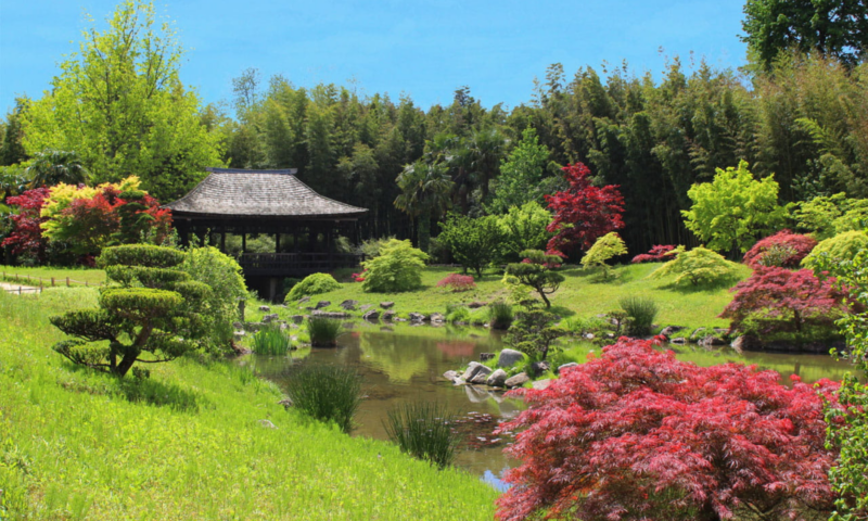 The Bamboo Grove in Cévennes Ticket - Included in the Ticket