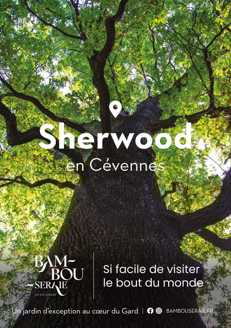 The Bamboo Grove in Cévennes Ticket - Visitor Information and Recommendations
