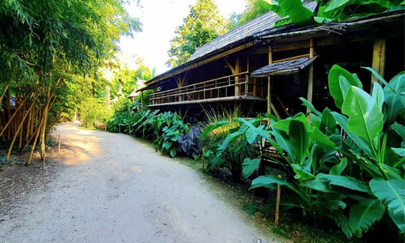 The Bamboo Grove in Cévennes Ticket - Reasons to Visit the Bamboo Grove
