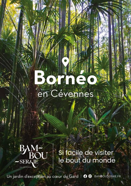 The Bamboo Grove in Cévennes Ticket - Since You Asked