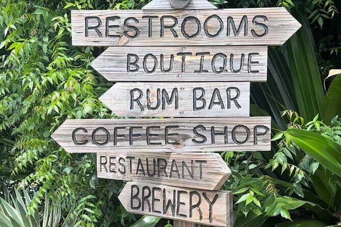 The Baths, Virgin Gorda, Cooper Island & Norman Island Snorkel - Practical Tips for Your Trip