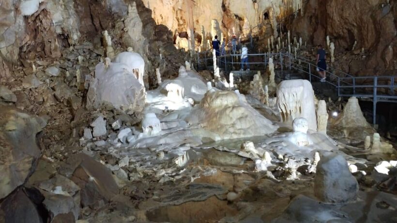 The Bear's cave: 1 day airconditioned car tour from Oradea - Key Points