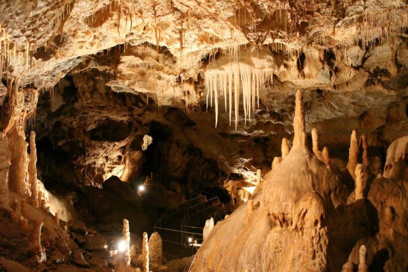 The Bear's cave: 1 day airconditioned car tour from Oradea - Overview of the Experience