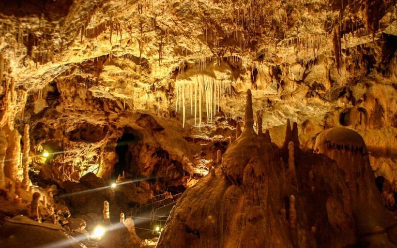 The Bear's cave: 1 day airconditioned car tour from Oradea - What Makes This Tour Stand Out