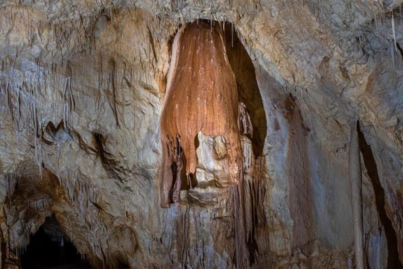 The Bear's cave: 1 day airconditioned car tour from Oradea - Recognizing the Drawbacks