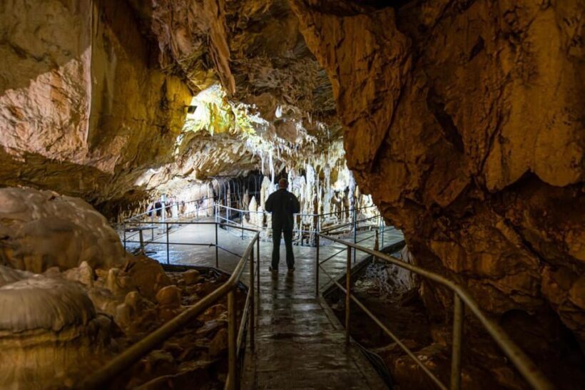 The Bear's cave: 1 day airconditioned car tour from Oradea - Who Is This Tour Best For?