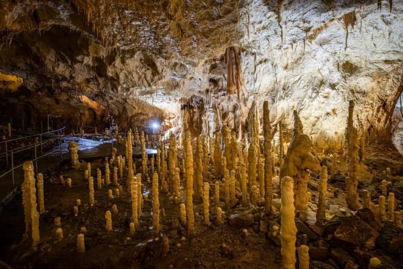 The Bear's cave: 1 day airconditioned car tour from Oradea - FAQ