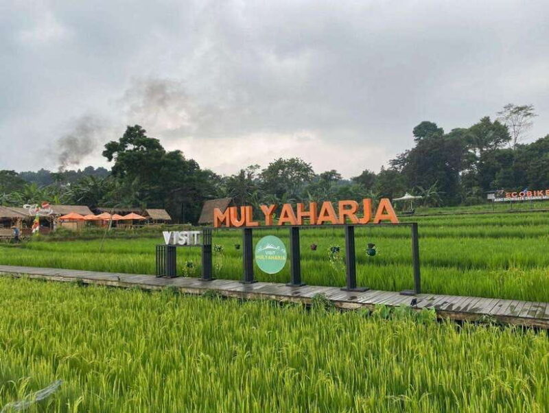 The Beautiful Garden, Rice Terrace and Waterfall In Bogor - Key Points