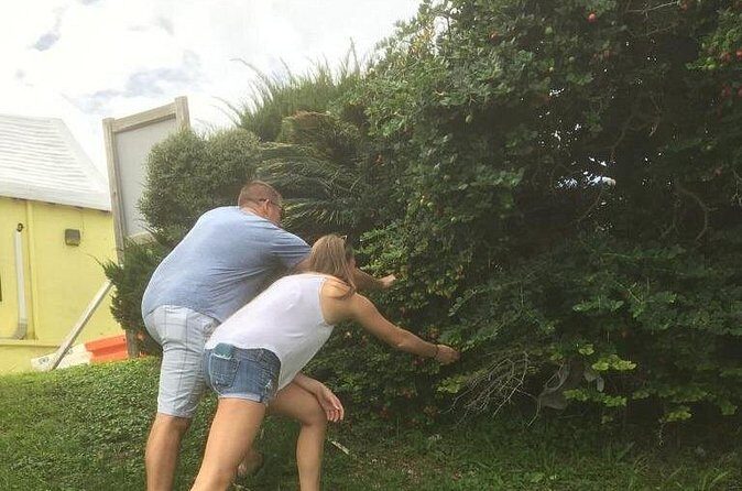 The Bermuda Tea and Tales Experience - Frequently Asked Questions