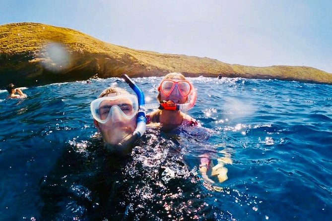 The Best 2 Hour Molokini Express Snorkeling - Snorkeling Highlights and Marine Life Encounters