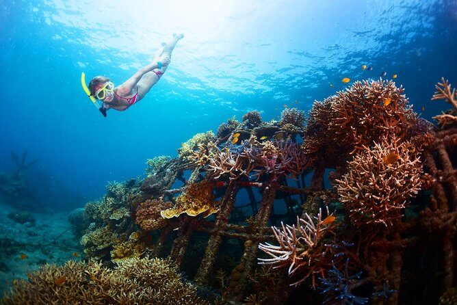 The Best 2-point Snorkeling in Padangbai: Blue lagoon and Tanjung jepun - Who Should Consider This Tour