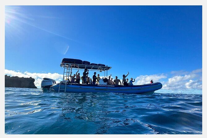 The Best 8 am 1.5 Hour Whale Watching Tour - An In-Depth Look at the Maui Whale Watching Experience