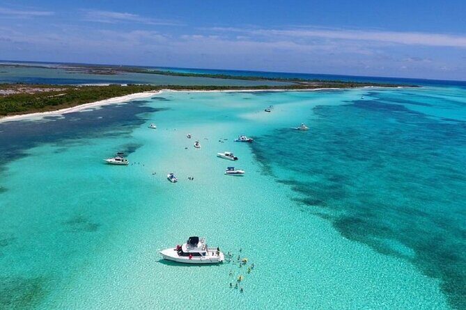The Best Cozumel Snorkeling Tour Palancar, Colombia and El Cielo Reefs - The Experience on the Water