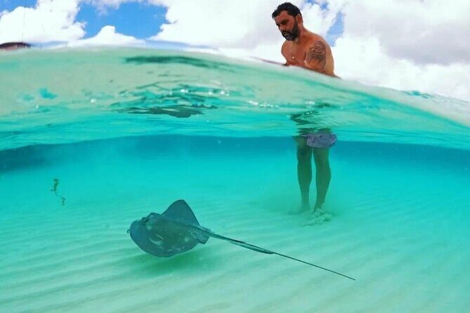 The Best Cozumel Snorkeling Tour Palancar, Colombia and El Cielo Reefs - What Reviewers Say