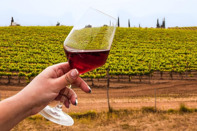 The Best Highlights 7 Day Sicily Tour - Practical Details: Transportation, Accommodation, and Group Size