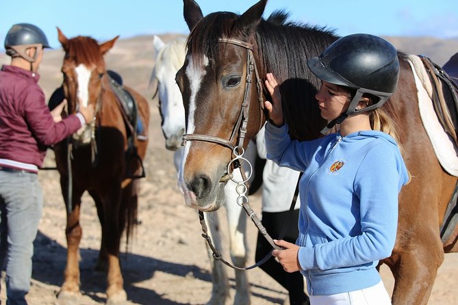 The Best Horse Riding Experience in Gran Canaria (1 Hour) - What to Expect During Your Ride