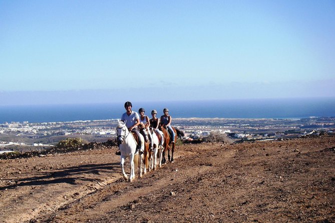 The Best Horse Riding Experience in Gran Canaria (1 Hour) - Meeting Point and Pickup Options