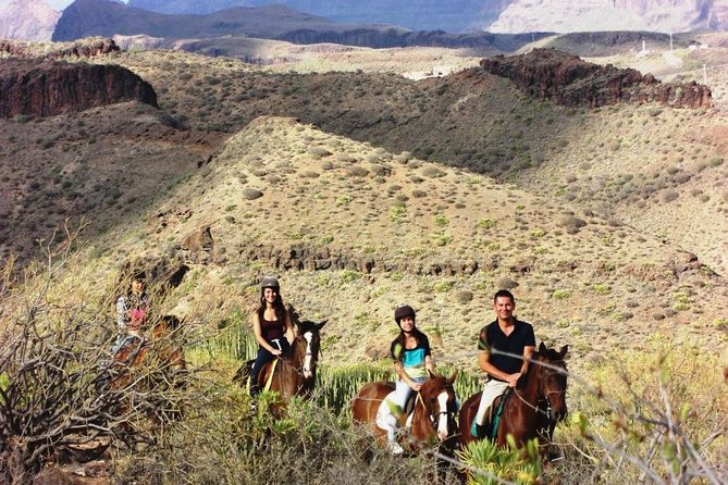 The Best Horse Riding Experience in Gran Canaria (1 Hour) - Safety Measures and Riding Equipment