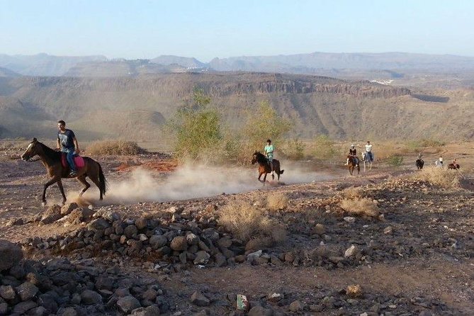 The Best Horse Riding Experience in Gran Canaria (1 Hour) - Scenic Highlights of the Ride