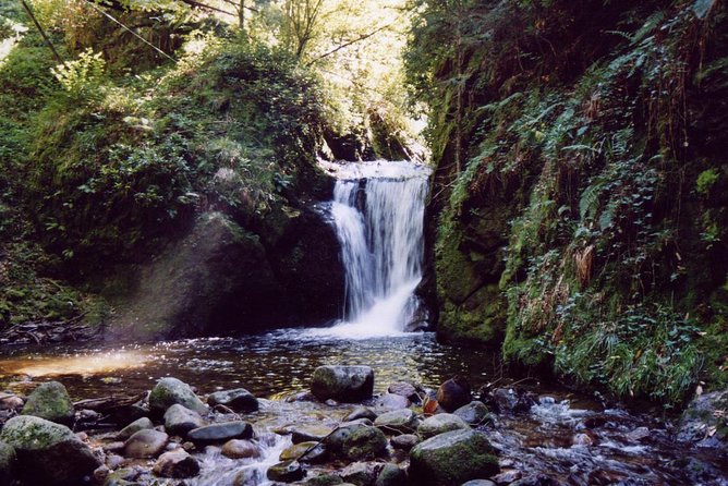 The Best in Baden-Baden Surroundings and Black Forest. Start From Baden-Baden - Tailored Experiences for Families