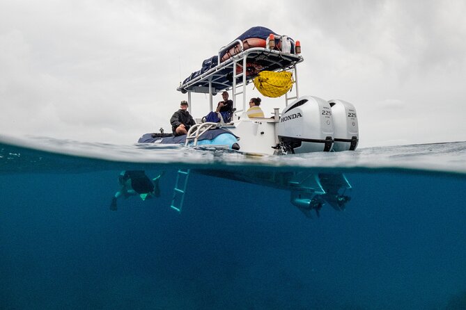 The Best Maui 3 Hour Molokini and Turtle Town Snorkel - Final Words
