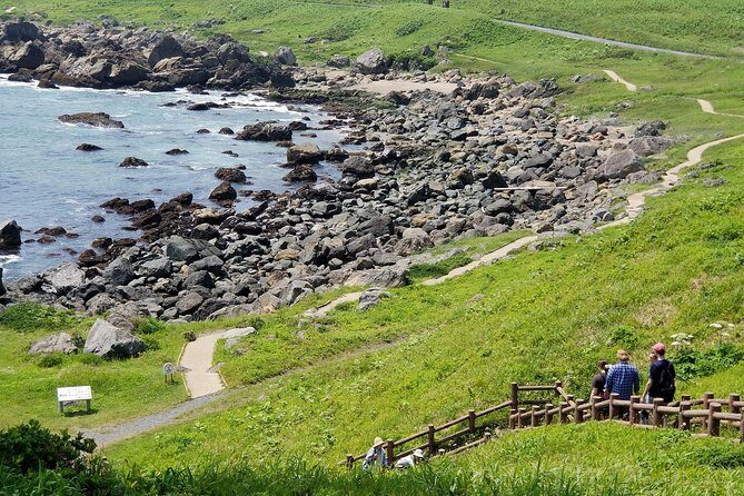 The best morning and Michinoku Shiokaze trail trekking in the Tanesashi Coast natural grassland - Practical Details and Tips