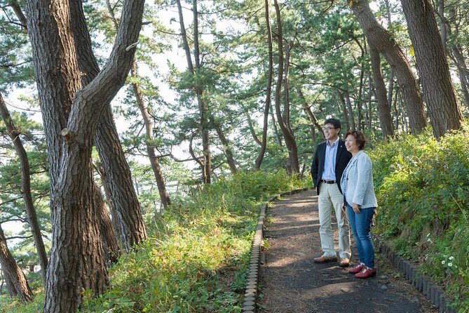 The best morning and Michinoku Shiokaze trail trekking in the Tanesashi Coast natural grassland - Who Will Love This Tour?