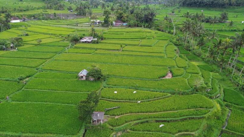The Best Northern Bali: Waterfalls & Sacred Temple Adventure - Whats Included and Whats Not