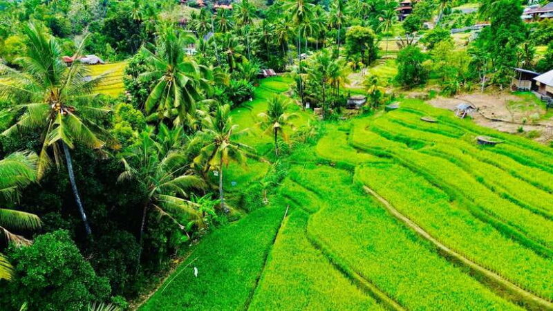 The Best Northern Bali: Waterfalls & Sacred Temple Adventure - FAQ