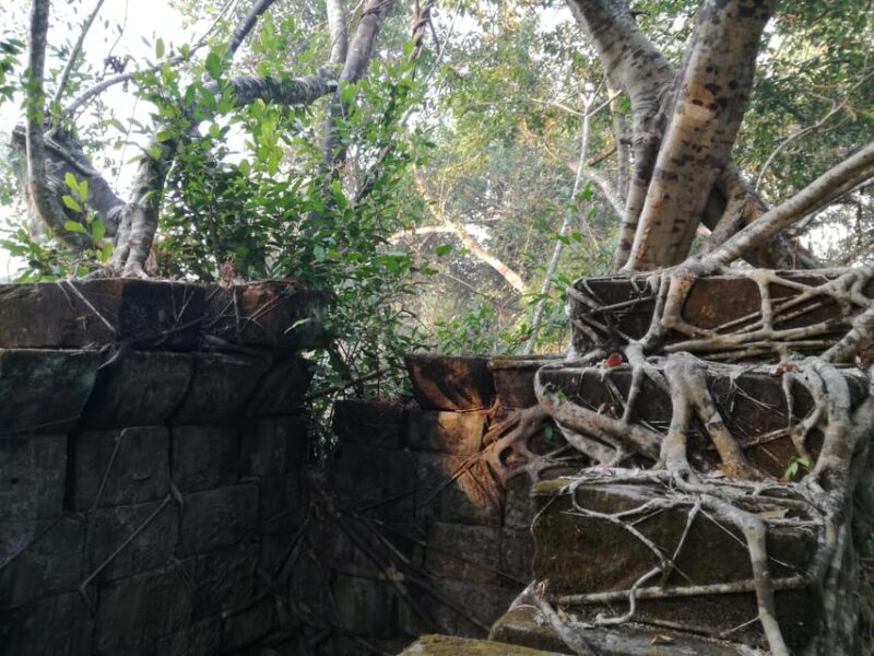 The Best of Angkor Temples 2 Day Private Tour - Who Should Consider This Tour?