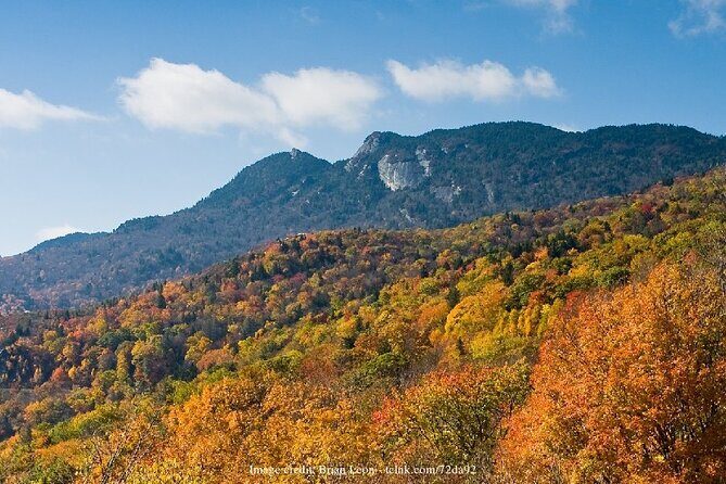 The Best of Asheville: Private 2.5-hour Walking Tour - Why Choose This Tour?