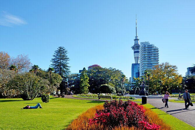 The best of Auckland private walking tour - An In-Depth Look at the Tour Itinerary