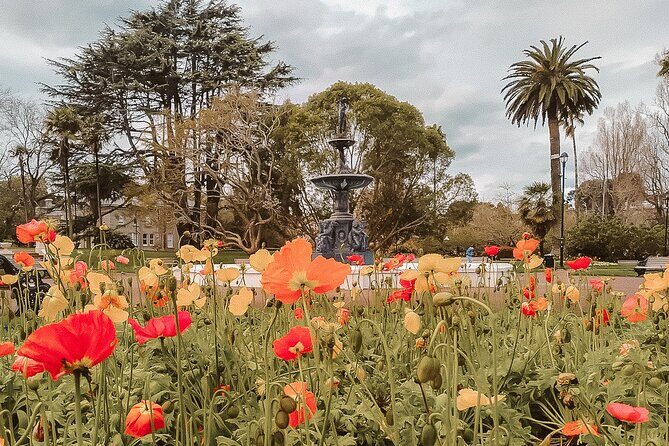 The best of Auckland private walking tour - Authentic Traveler Insights