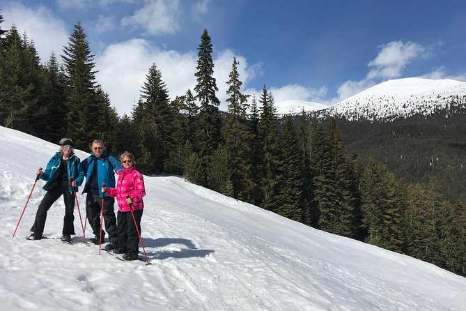 The Best of Bansko: Magical Snowshoeing Adventure & SPA - Guided Tour Through the Winter Wonderland