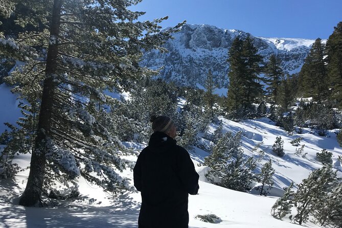 The Best of Bansko: Magical Snowshoeing Adventure & SPA - Practical Information and Logistics