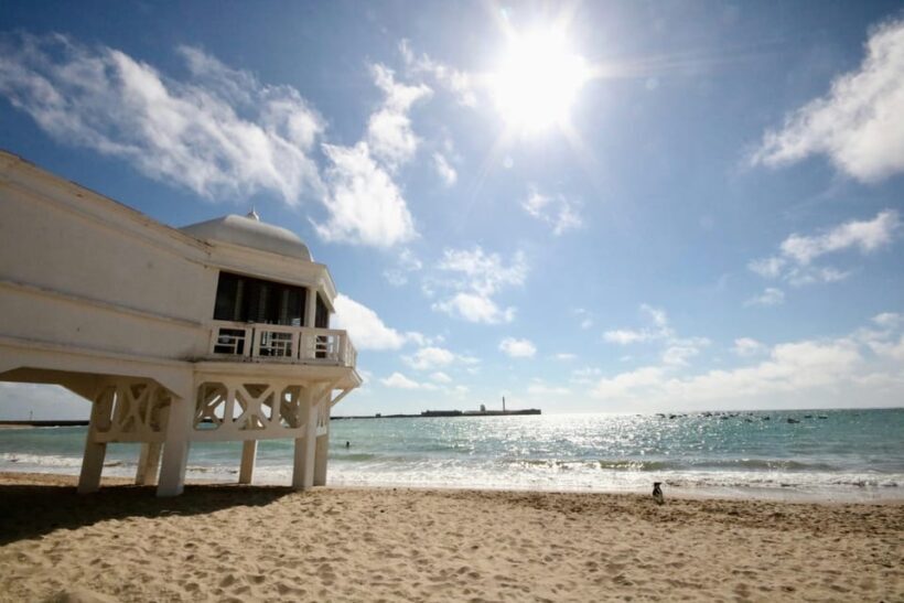The Best of Cadiz - Private Walking Tour - Exploring the Itinerary in Detail