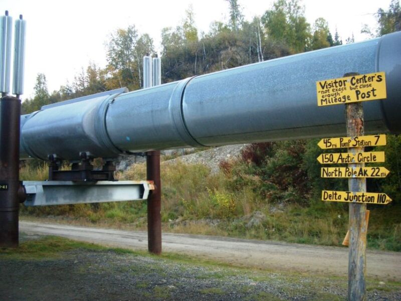 The Best of Fairbanks: Half-Day City Highlights Tour - Key Points