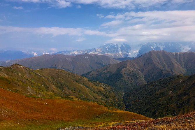 The Best of Georgia 7 Days Private Jeep Tour From Tbilisi - Customer Experience