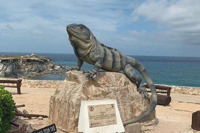 The Best of Isla Mujeres Private Walking Tour - What’s Included and What’s Not