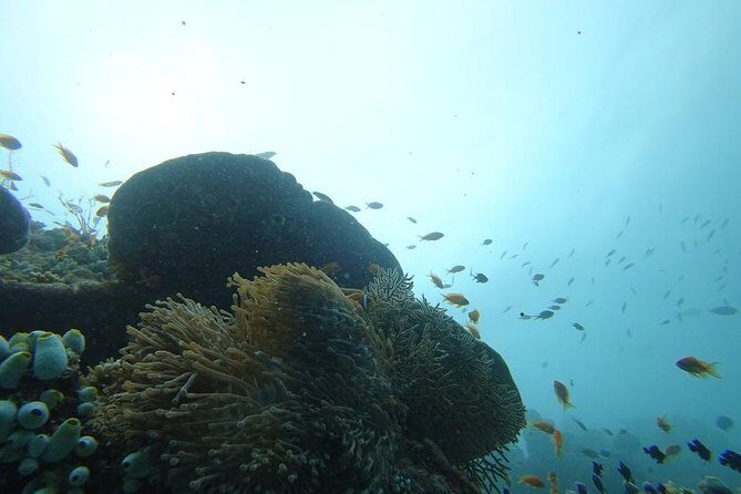 The Best Of Maldives For Solo Traveler - FAQ